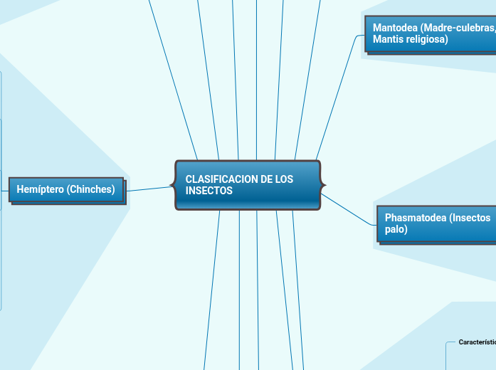 CLASIFICACION DE LOS INSECTOS - Mind Map